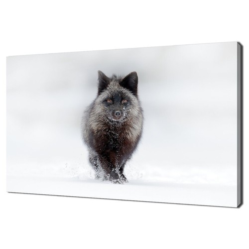 Silver fox Walking Through The Snow Wall Art Canvas Unframed Print Art ...