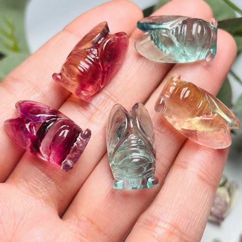 3pc Natural fluorite carved mini cicada skull quartz crystal reiki ...