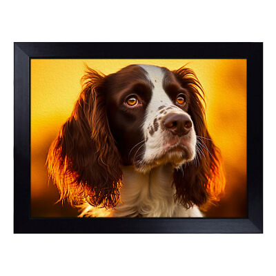 English Springer Spaniel Colour Field Lap Tray Cushioned Bean Bag ...