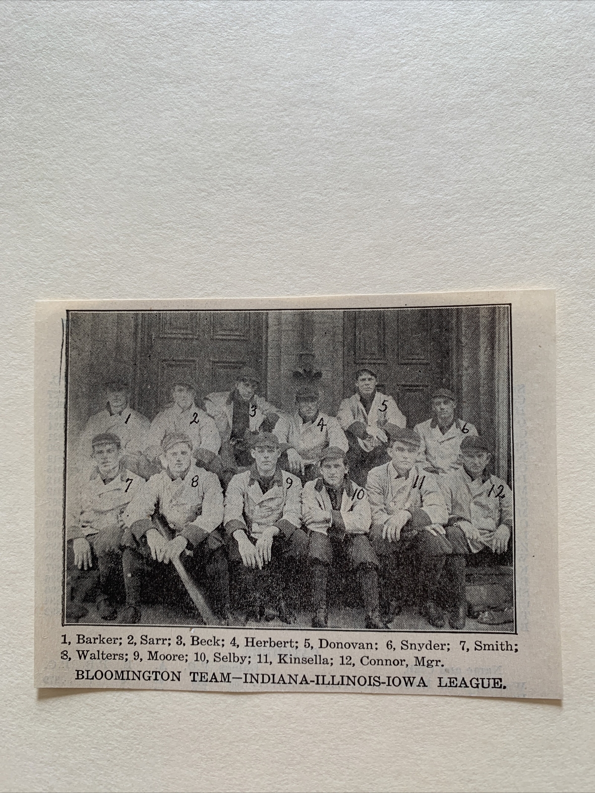 Bloomington Bloomers Indiana Fred Beck Ed Kinsella 1905 Baseball Team ...