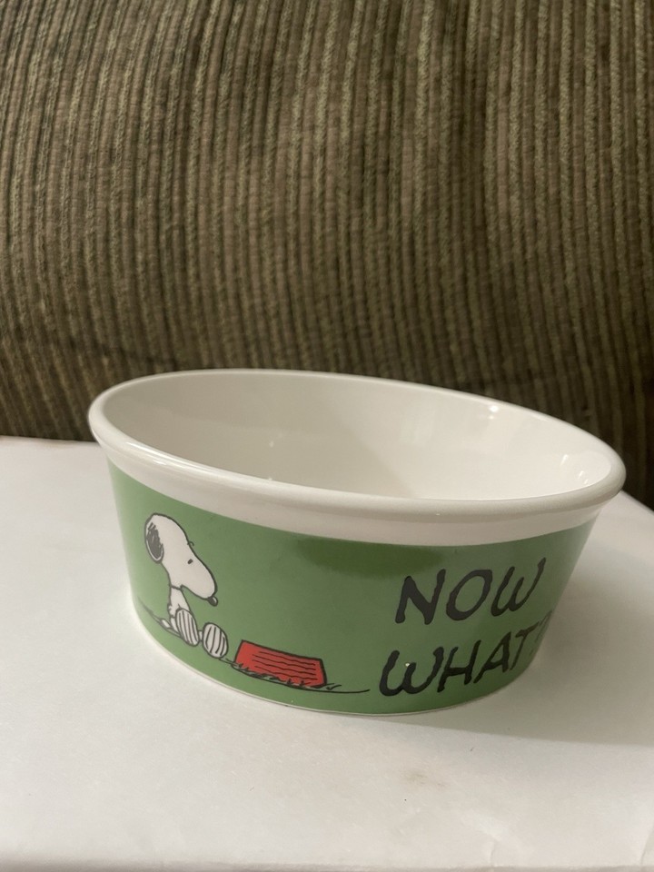 PEANUTS SNOOPY DOG DISH BOWL “Now What?" "More Please" *NEW* (B) | eBay