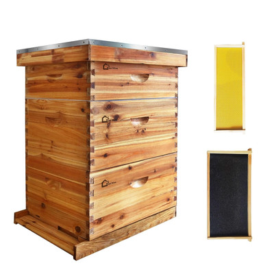 10-Frame Complete Beehive Frame Kit Wax Coated w/ 2 Deep Box 1 Medium ...