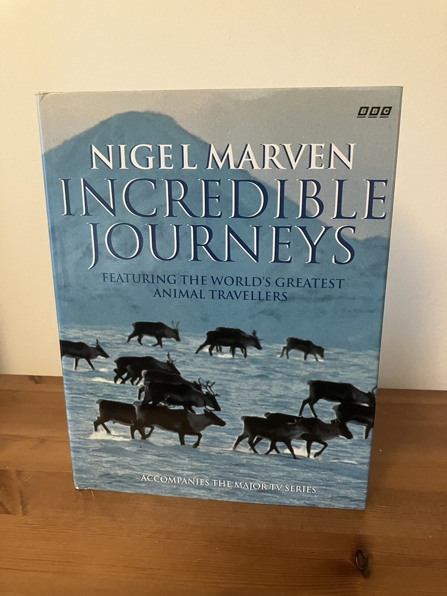 Nigel Marven Quotes No Matter How Bad Things Get On Land Never Get
