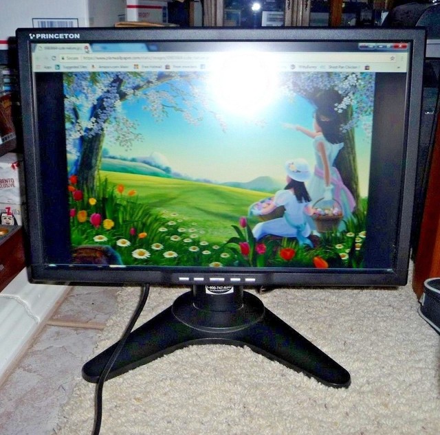Princeton Digital VL2018W LCD Monitor for sale online | eBay