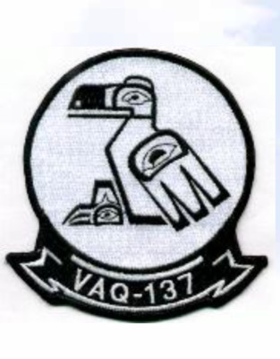 4.25" NAVY VAQ-137 SQUADRON WHITE EMBROIDERED PATCH | eBay