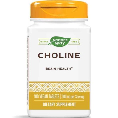 Nature's Way Choline 500 mg 100 Vegan Tabs | eBay
