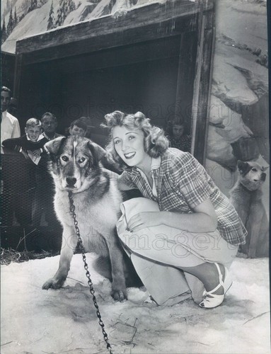 Press Photo Pretty Actress Muriel Angelus With Alaskan Husky Dog | eBay