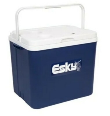 Genuine Esky 33L Hard Chilla Cooler Big Lunch Box Holds 40 Cans | eBay ...