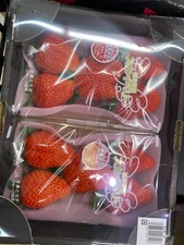 Japanese Sembikiya Queen Strawberries- 8 Fresh Seeds-most in The World ...