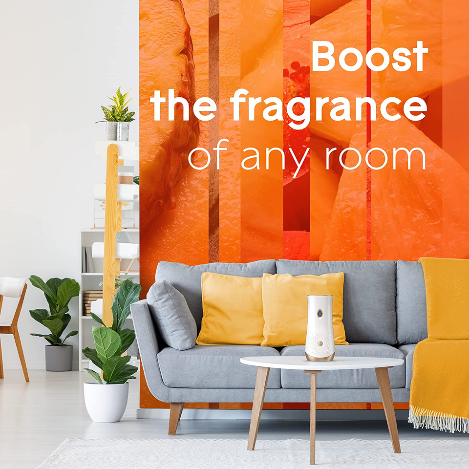 Glade Automatic Spray Refill, Air Freshener for Home and Bathroom ...