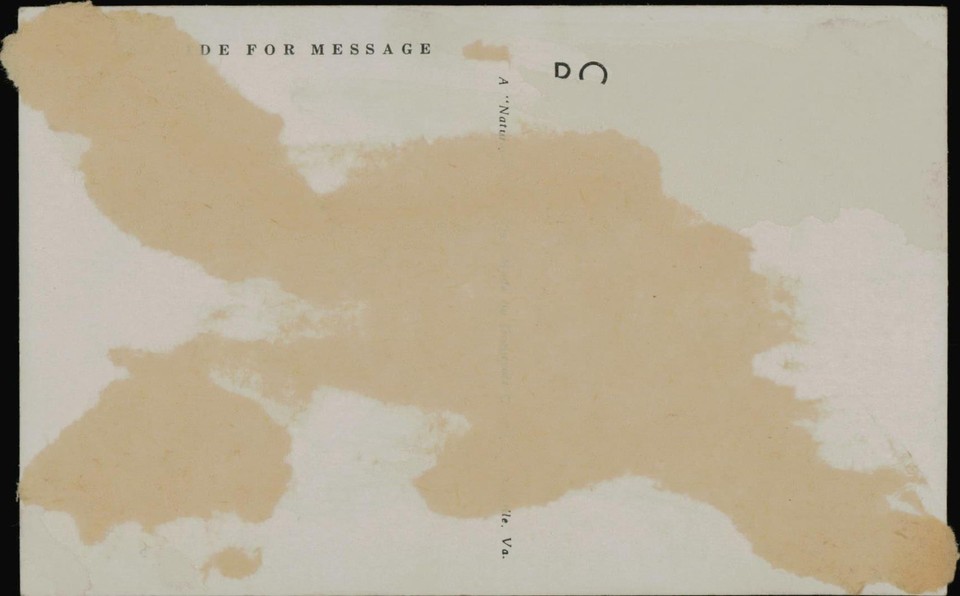 Vintage RPPC Real Photo Postcard Mt. Hood Winter View from Government ...