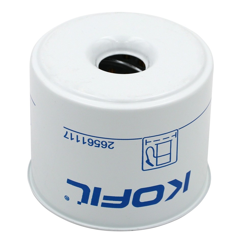 26561117 Fuel Filter Replaces 26560017, P556245, P502420, BF825,L296F ...