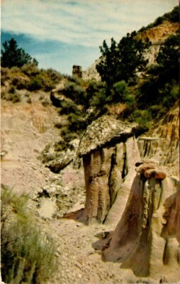 Chrome Postcard Petrified Tree Stump Badlands South Dakota SD UNP | eBay