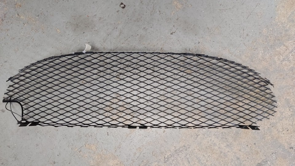 Lotus Evora Front Grille D13290187F | eBay