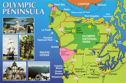 Olympic Peninsula Map Washington State Vintage Continental Postcard ...