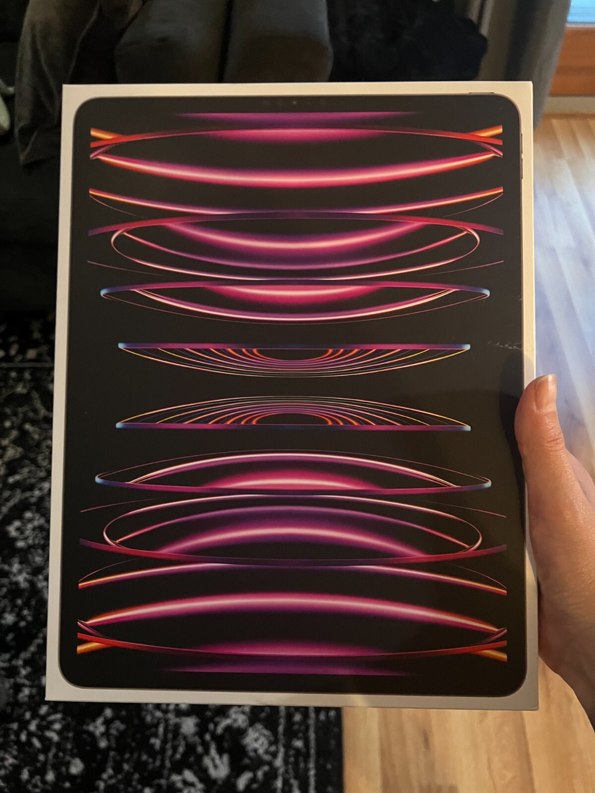 Apple iPad Pro 6th Gen. 256GB, Wi-Fi, 12.9in - Space Gray for sale ...