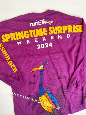 2024 RunDisney Run Disney Springtime Surprise Spirit Jersey AP Dug UP ...
