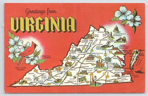 Virginia~State Map-Flower-Bird~Comic Pics on Map~Dogwood~Cardinal~1950s ...