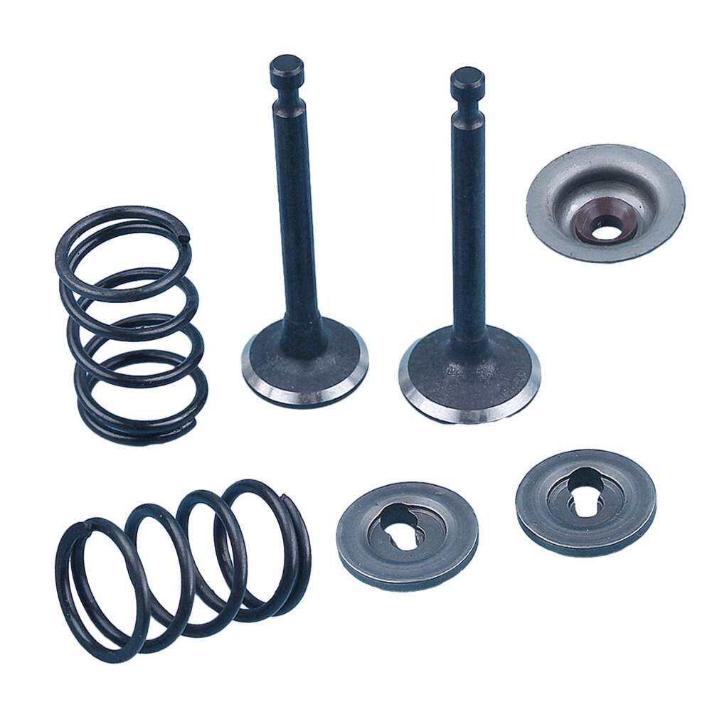 New High Quality Exhaust Valve Spring Accessories Lawn Mower ...