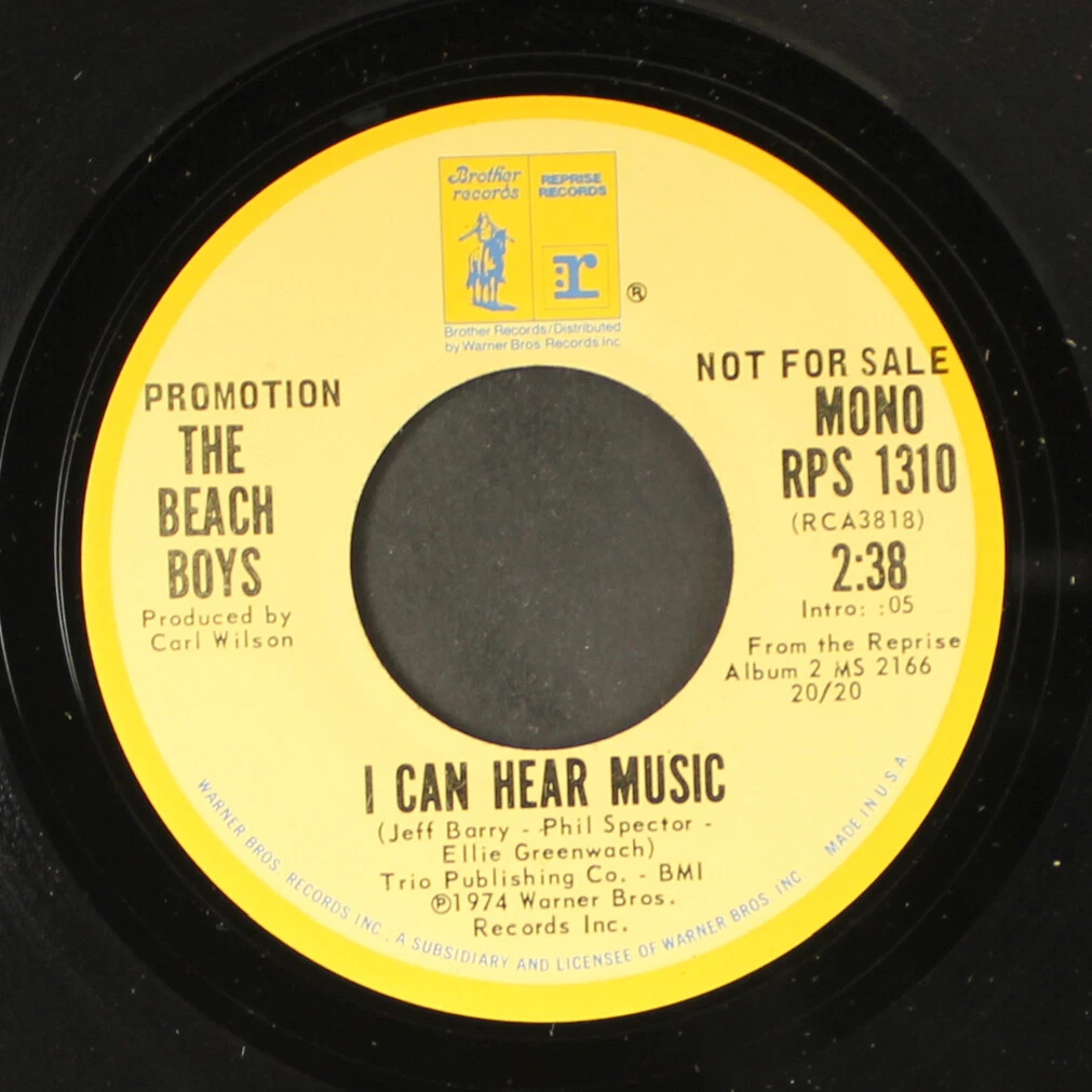 Beach Boys Brother Records Logo