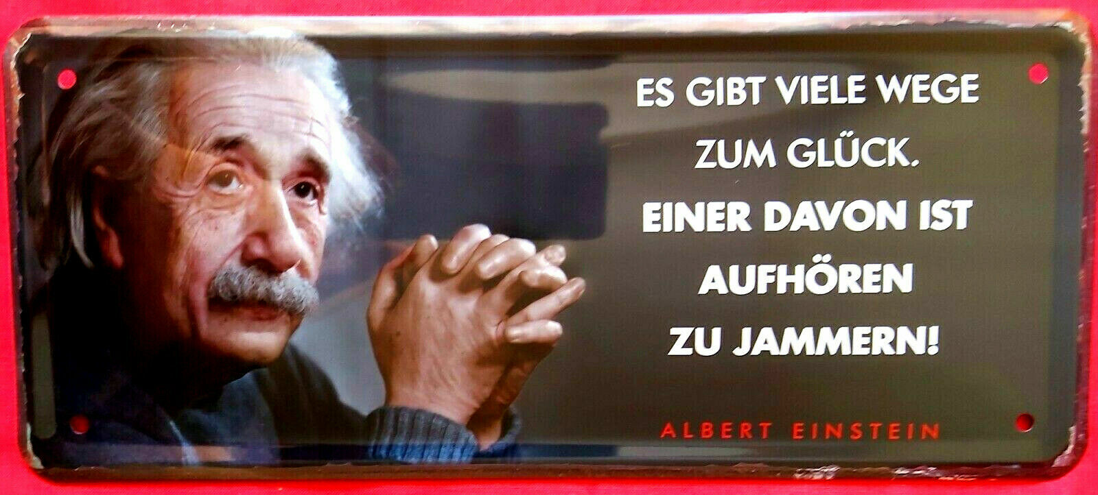 Blechschild 28x12 EINSTEIN Zitat Lebensweisheit Sprüche Bar Kneipe Haus ...