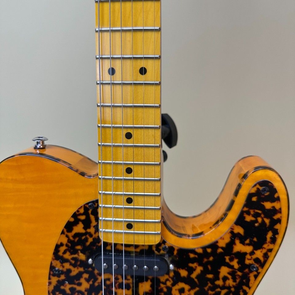 TL Prince HS Anderson Hohner Madcat Mad Electric Guitar 2S Pickups ...