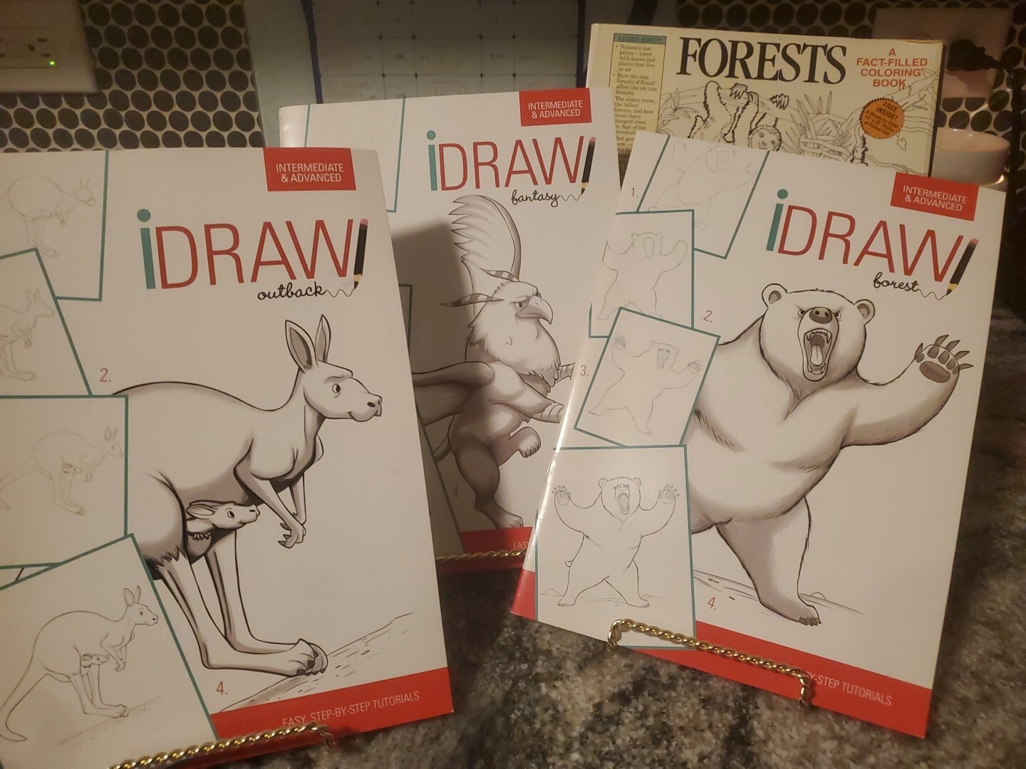 IDraw Lot Of 3 Intermediate- Forest, Outback, Fantasy PLUS FOREST ...