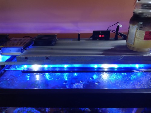 Current USA Dual Ramp Timer Light for sale online | eBay