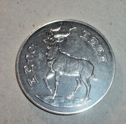 Ethiopia EE1970 (1978) 25 Birr Nyala Km74 Rare Silver Crown Blemished ...