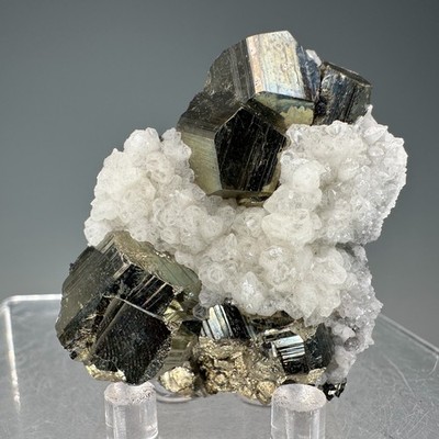 Superb Pyrite Crystals on Quartz: Homestake Mine, Lead, South Dakota ...