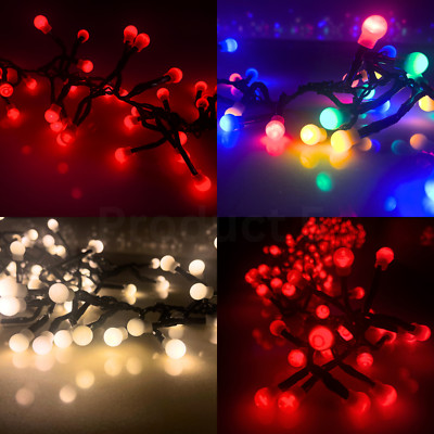 Berry Lights String Red, Warm White, Multicoloured 100/200/500/1000 ...