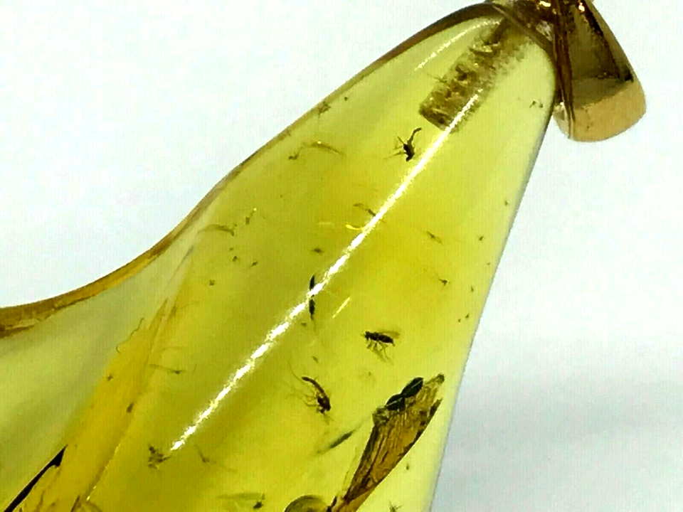 Amber Pendant 6 Insects Fossil Insect Inclusion Silver 925 Gold Plated ...