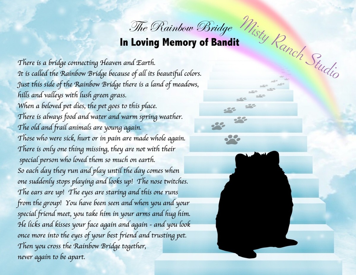 Rainbow Bridge Poems