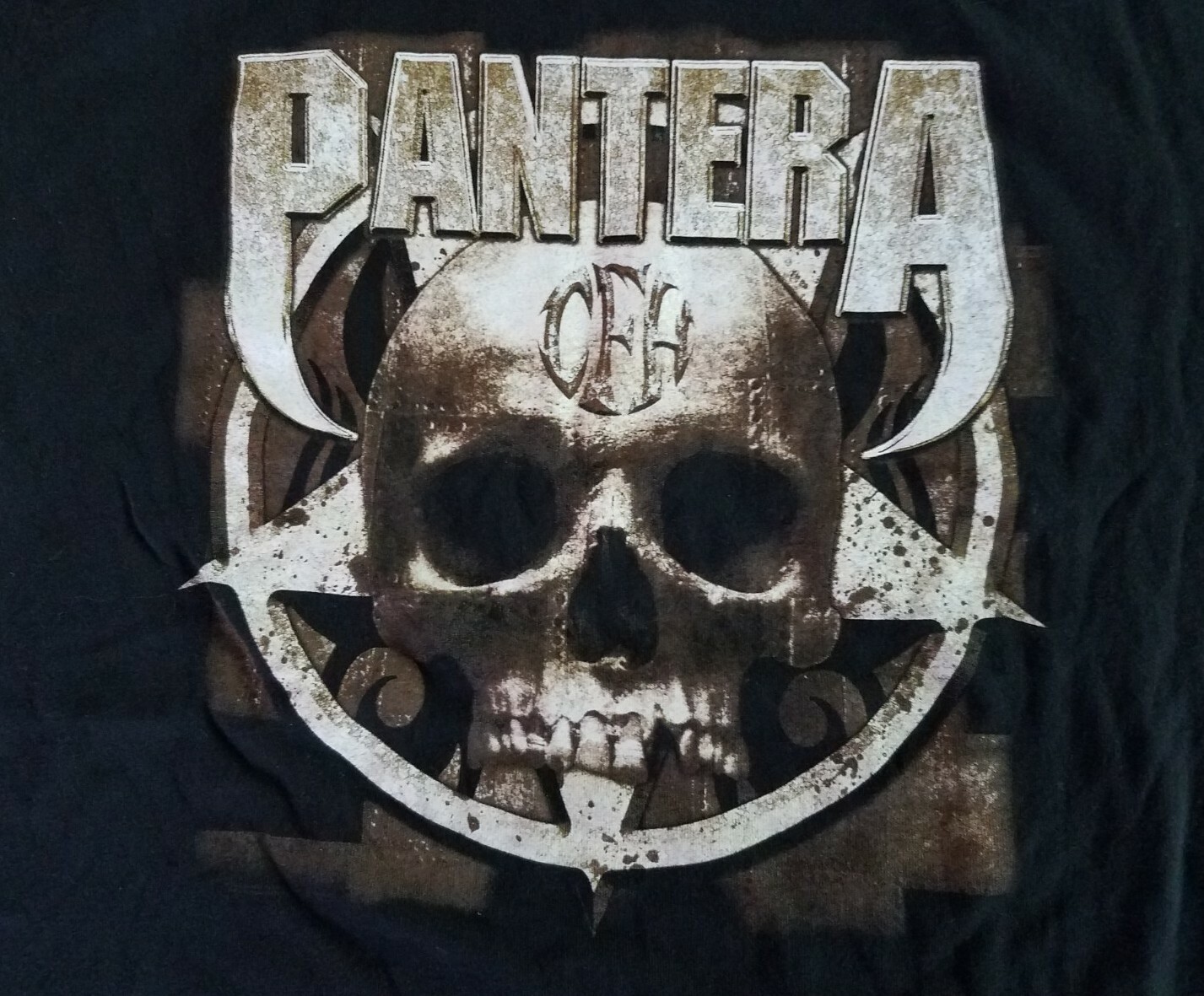 Pantera Skull Logo