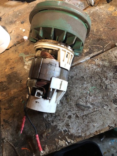 Electric Easy Edge Eater Trimmer Motor 400507 Working Model 1214 | eBay