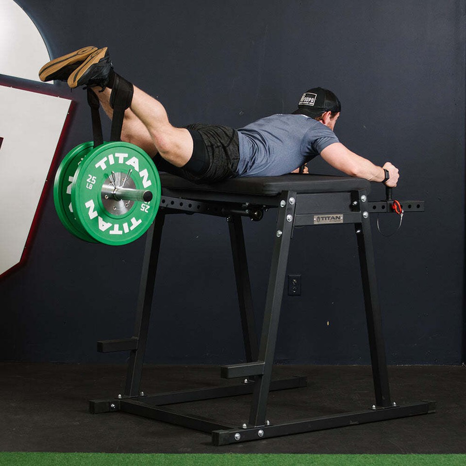 Titan Fitness Economy H-PND, Reverse Hyperextensions Lower Body Machine ...