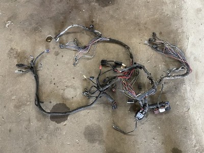 Harley-Davidson Fat Boy S Softail FLSTFBS Lo 17 2017 OEM Main Wiring ...
