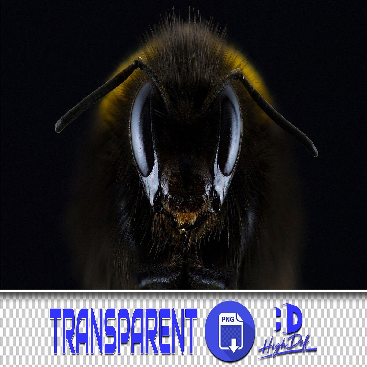 50 BEES TRANSPARENT PNG PHOTOSHOP OVERLAYS, | Grelly USA