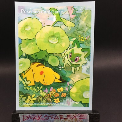 x1 Sprigatito & Pikachu Sleeve Pokemon Center Japan New Unplayed | eBay