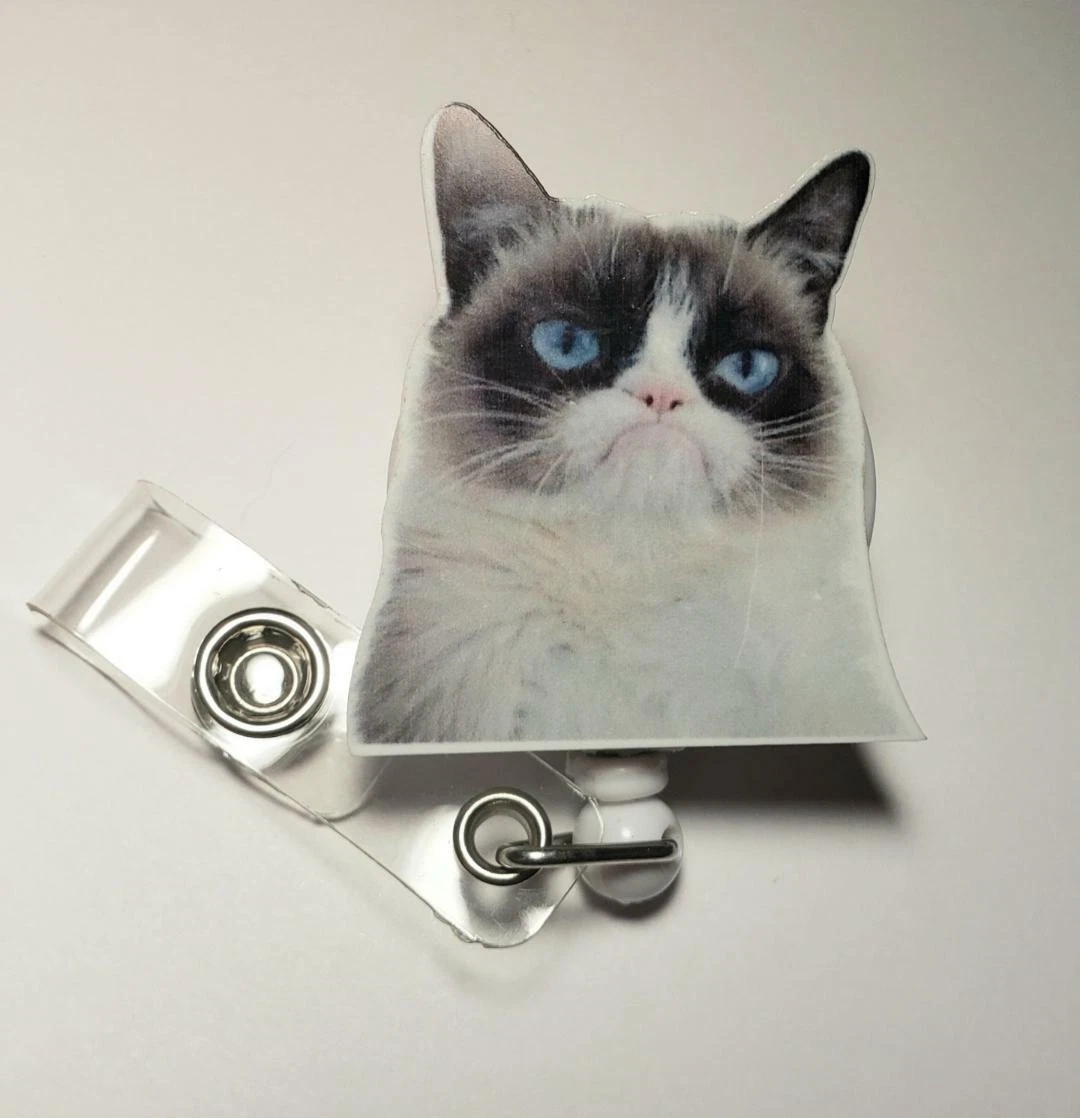 Grumpy Cat Not Cute