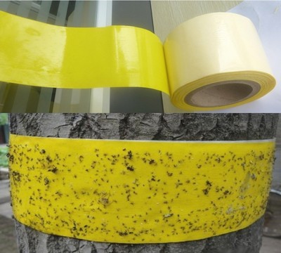 8"x 55 Yards Insect Bug Fly Sticky Glue Catcher Tape Ribbon Tree Strip ...
