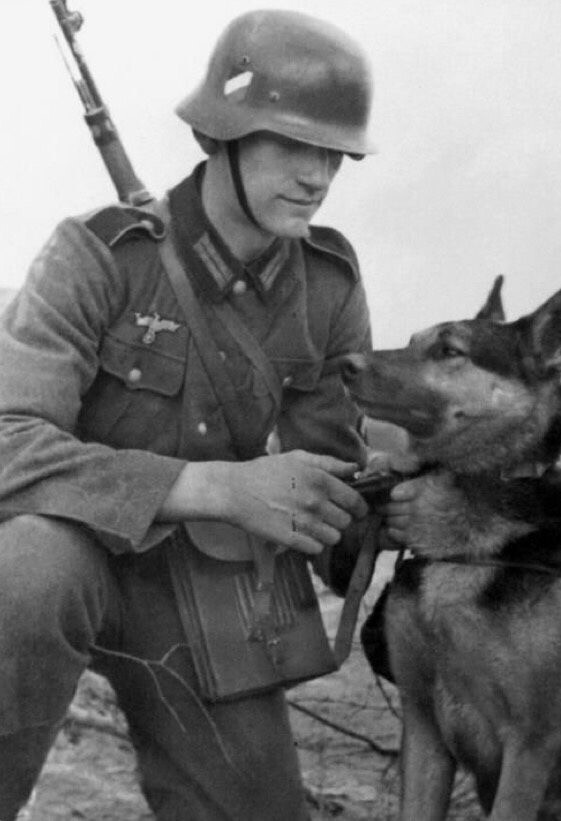 WW2 WWII Photo German Soldier with German Shepherd Dog World War Two ...