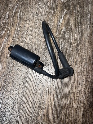 Ducati Monster 620 M600 Ignition Coils Spark Plug OEM | eBay