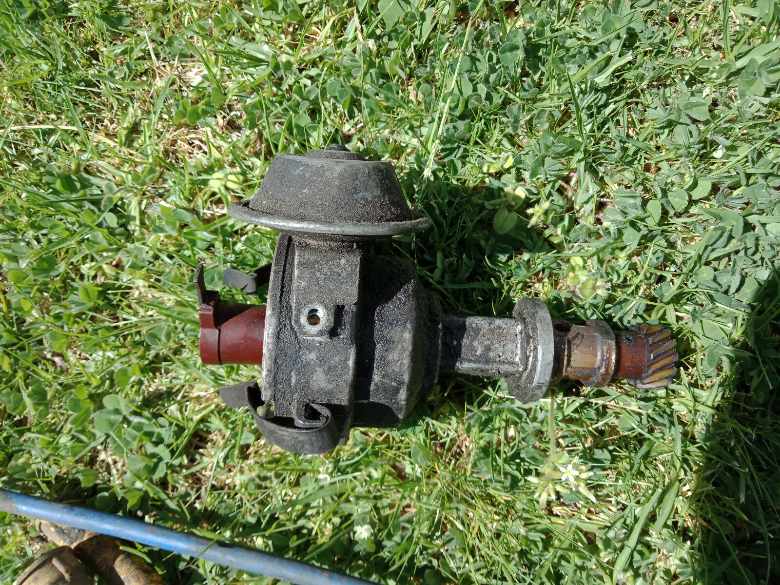 Holden distributor 6 cyl red motor bosh eh hr HQ hj hg ht hk hx hz ...