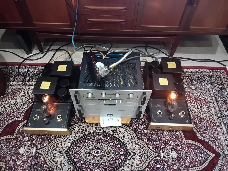 Cary CAD 805 triode output monaural tube valve power amplifiers mono ...