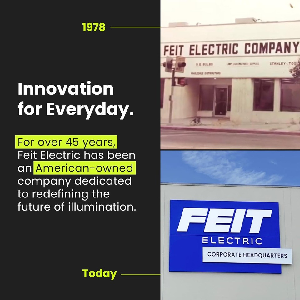 Lámpara LED Feit Electric de 4 pies con doble tubo, 4500 lúmenes, 4000K ...
