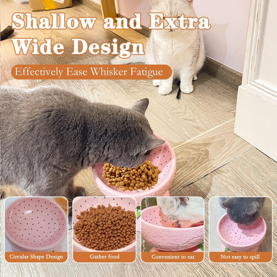 Cat Food Bowl Whisker Friendly, Ceramic Raised Cat Bowl, Extra Wide ...