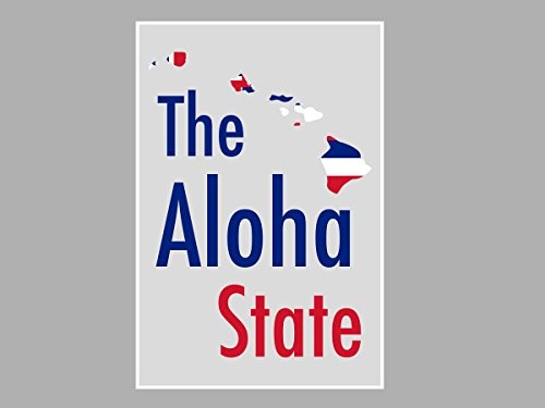 ArtsyCanvas B01MA11W7Q Larger Than Life Prints Poster Hawaii The Aloha ...