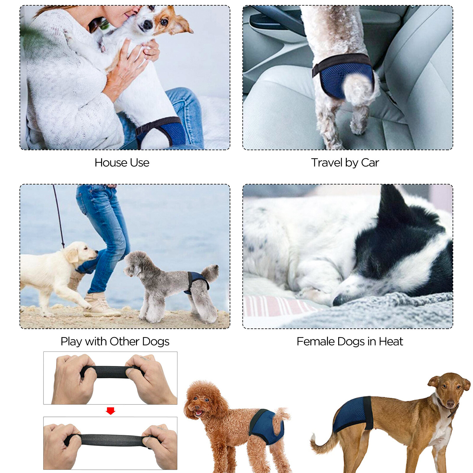 Washable Female Pet Dog Cat Nappy Diaper Physiological Pants Panties ...