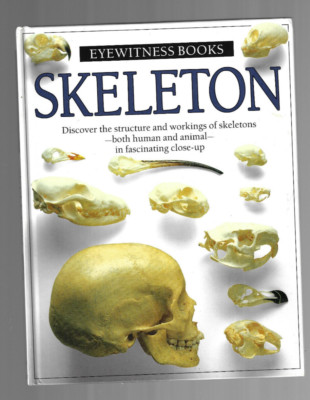 Eyewitness children's illus. hc book SKELETON 1988 first edition human ...